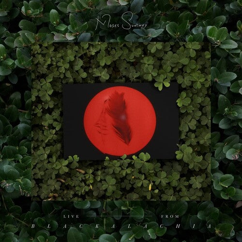Moses Sumney - Live From Blackalachia – Loudwire